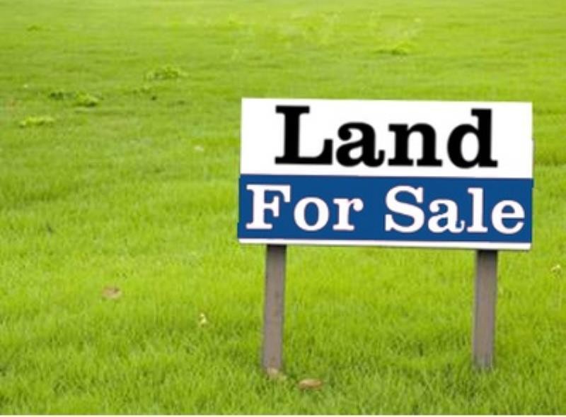 Land For Sale In Farm East Bank - Guyana Real Estate Services